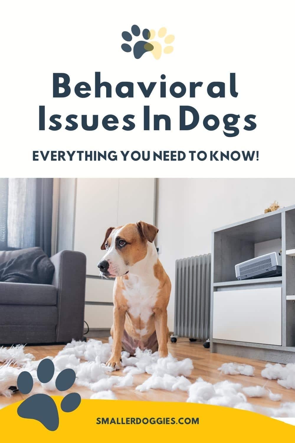 Behavioral issues in dogs: Everything you need to know - Smaller Doggies