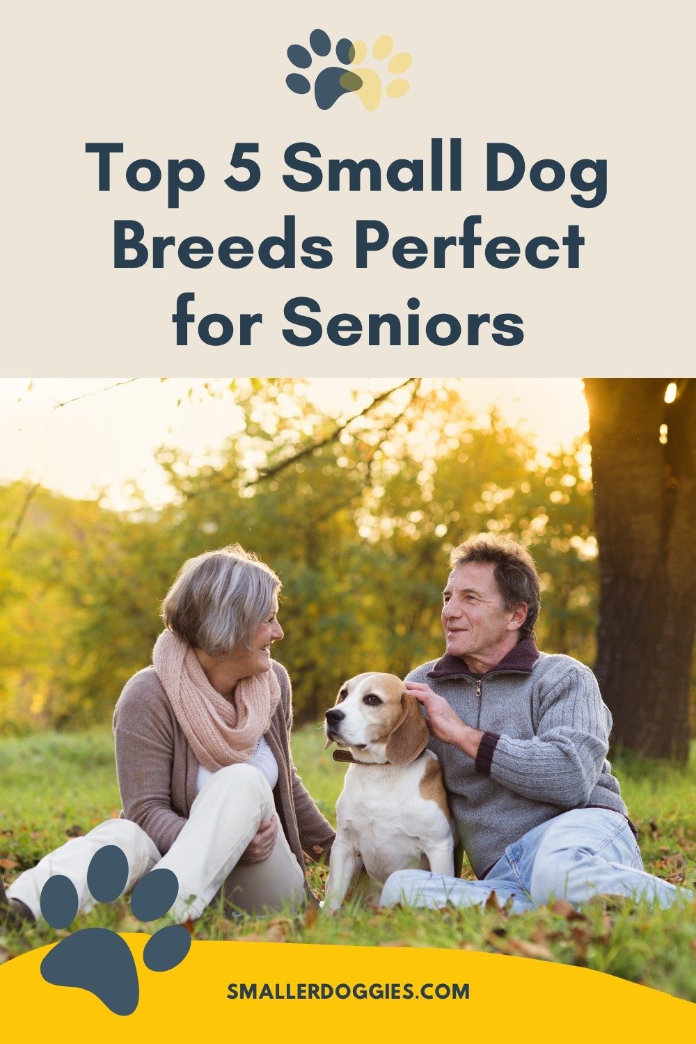 Top 5 Small Dog Breeds Perfect for Seniors - Smaller Doggies
